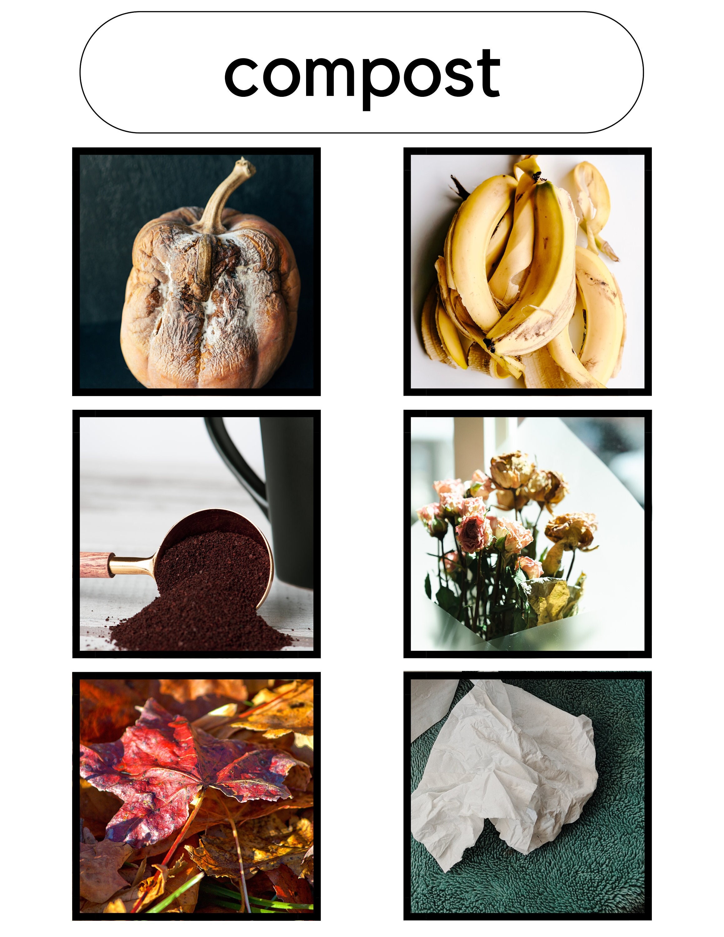 Compost, Recycle, or Landfill Sorting Game - Etsy