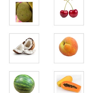 Fruit Nomenclature Cards/montessori Classified Cards/printables - Etsy