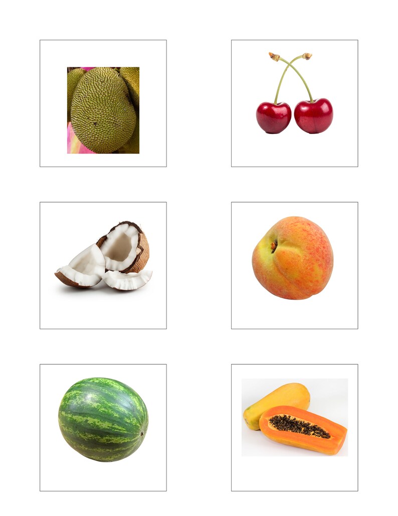 Fruit Nomenclature Cards/montessori Classified Cards/printables - Etsy