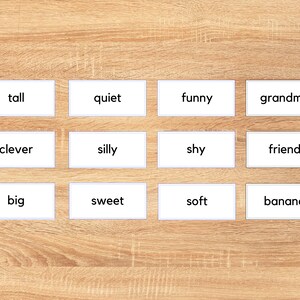 Montessori Adjective Game/printable Nouns and Adjectives - Etsy