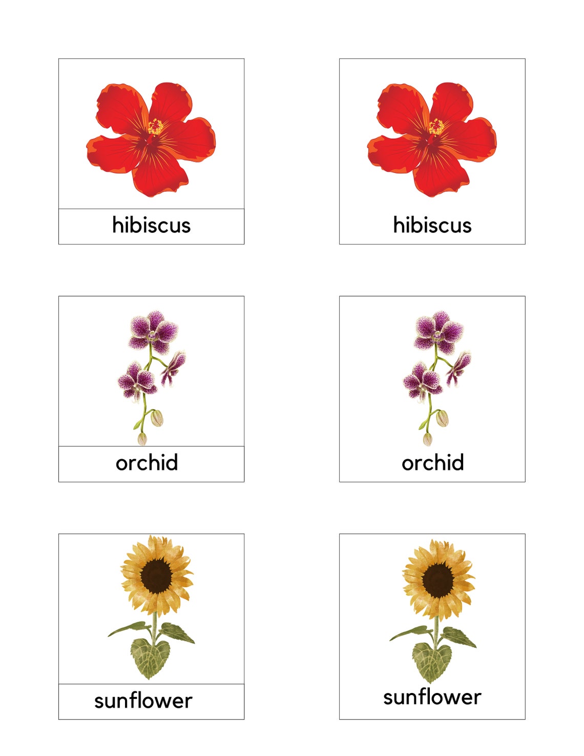 Montessori 3 Part Cards/flower Language Cards/spring Flowers/emergent ...