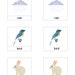 Montessori Spring 3 Part Cards/montessori Spring Printable - Etsy