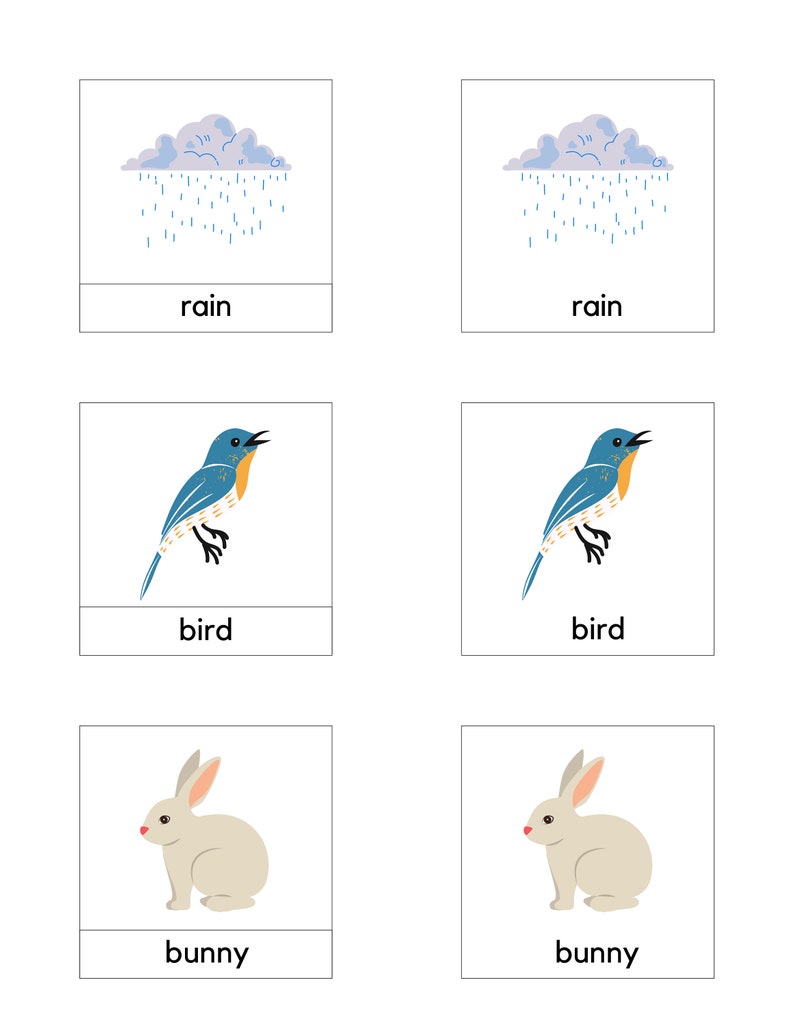 Montessori Spring 3 Part Cards/montessori Spring Printable - Etsy