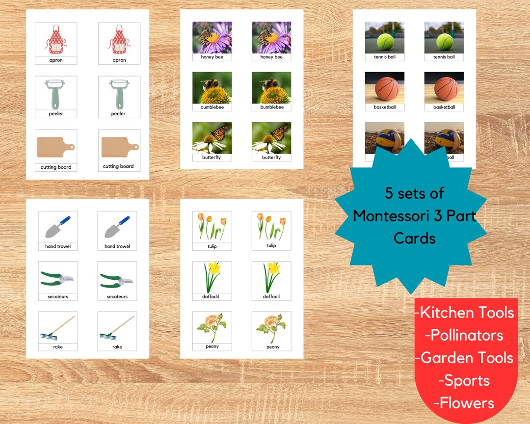 Montessori 3 Part Card Bundle/teacher Gift/montessori Language/5 Sets ...