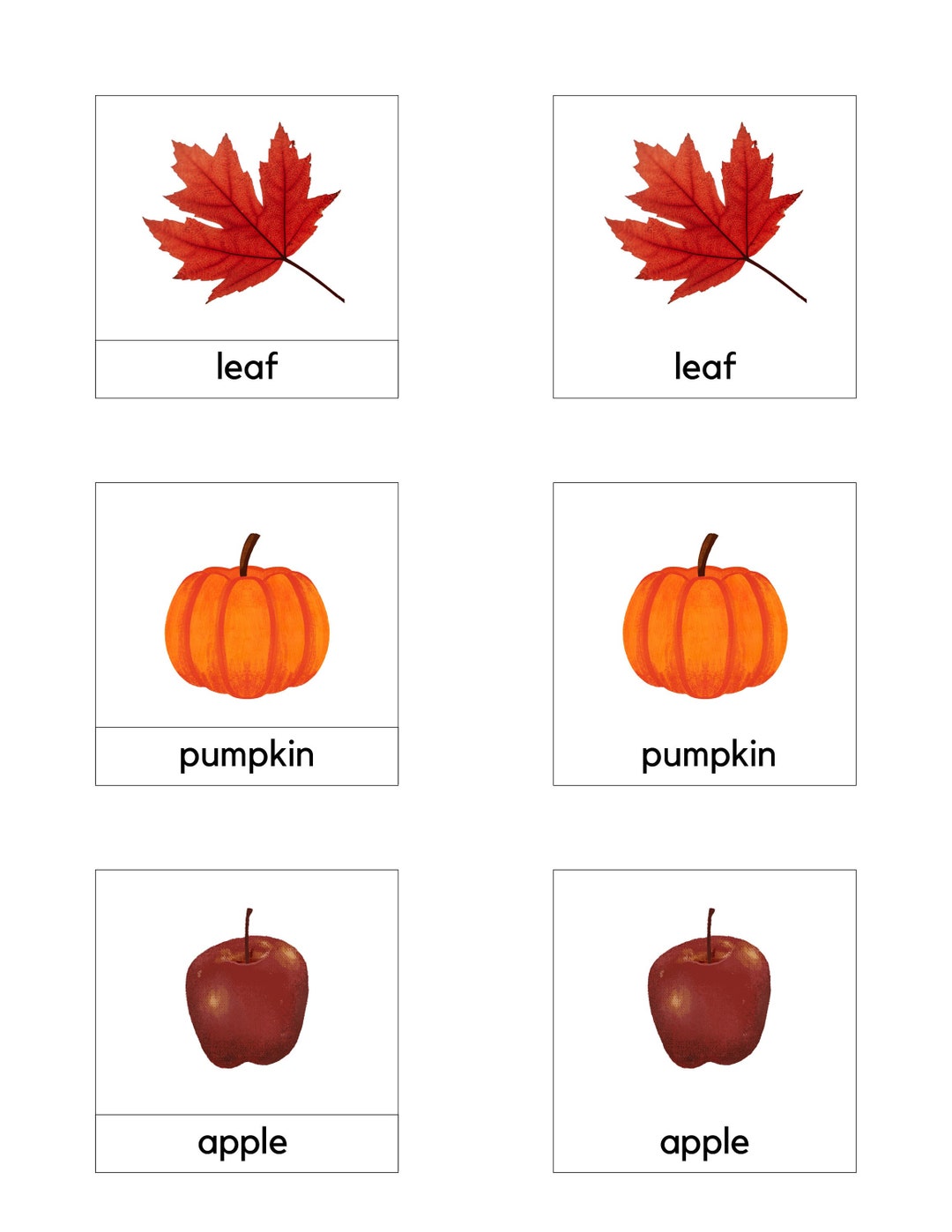 Montessori Fall 3 Part Cards/ Autumn Language Materials/ Printable - Etsy