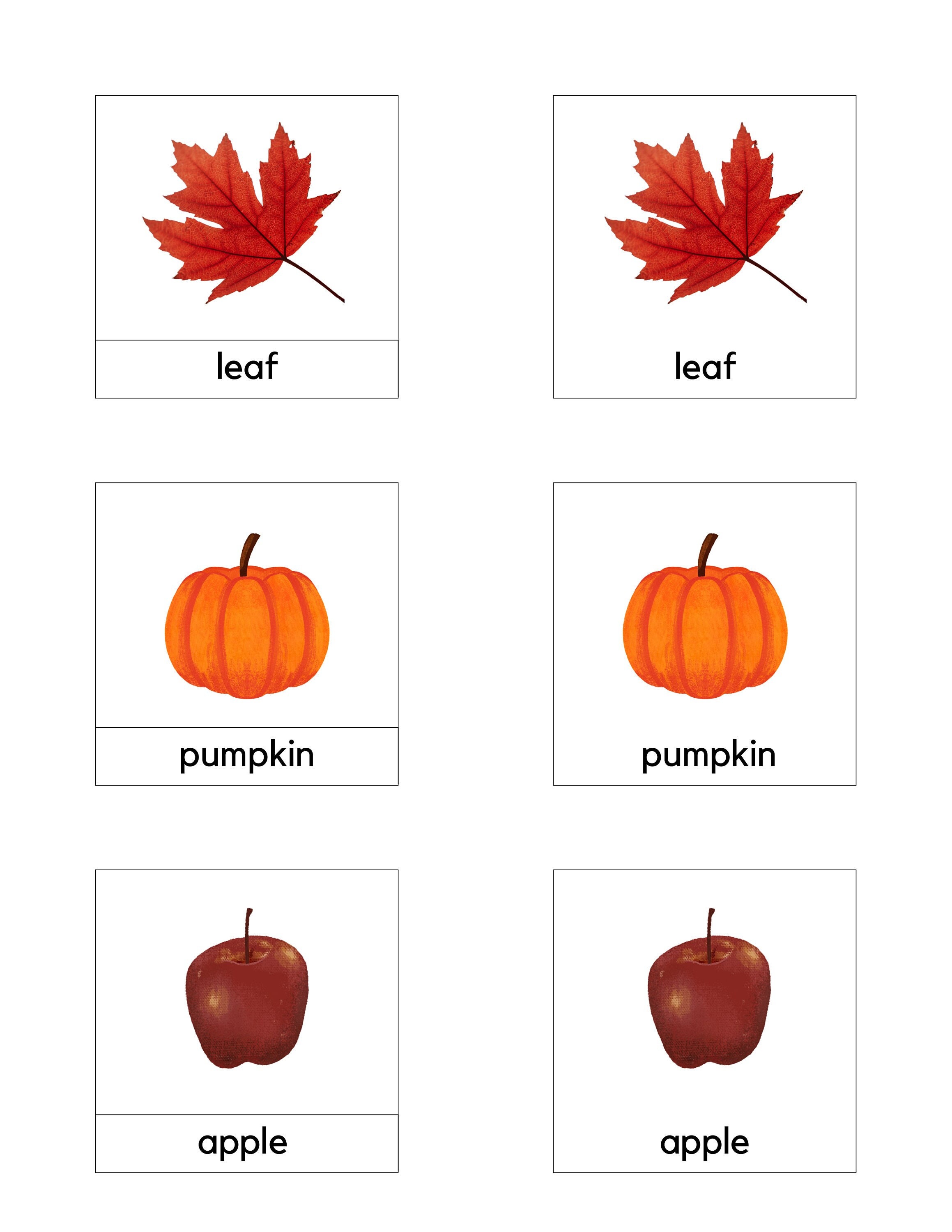 Montessori Fall 3 Part Cards/ Autumn Language Materials/ Printable - Etsy