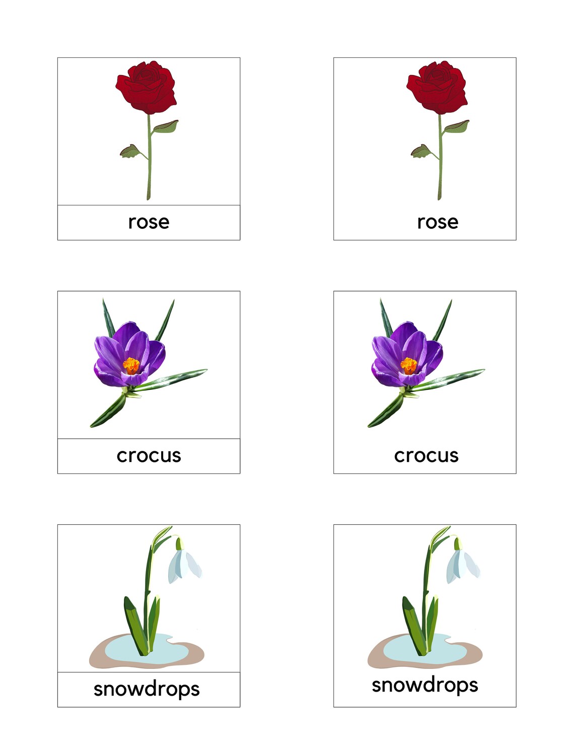 Montessori 3 Part Cards/flower Language Cards/spring Flowers/emergent ...