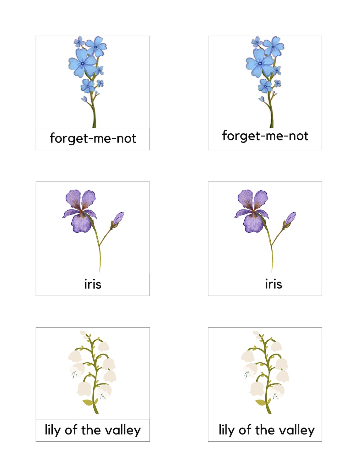 Montessori 3 Part Cards/flower Language Cards/spring Flowers/emergent ...