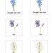 Montessori 3 Part Cards/flower Language Cards/spring Flowers/emergent ...