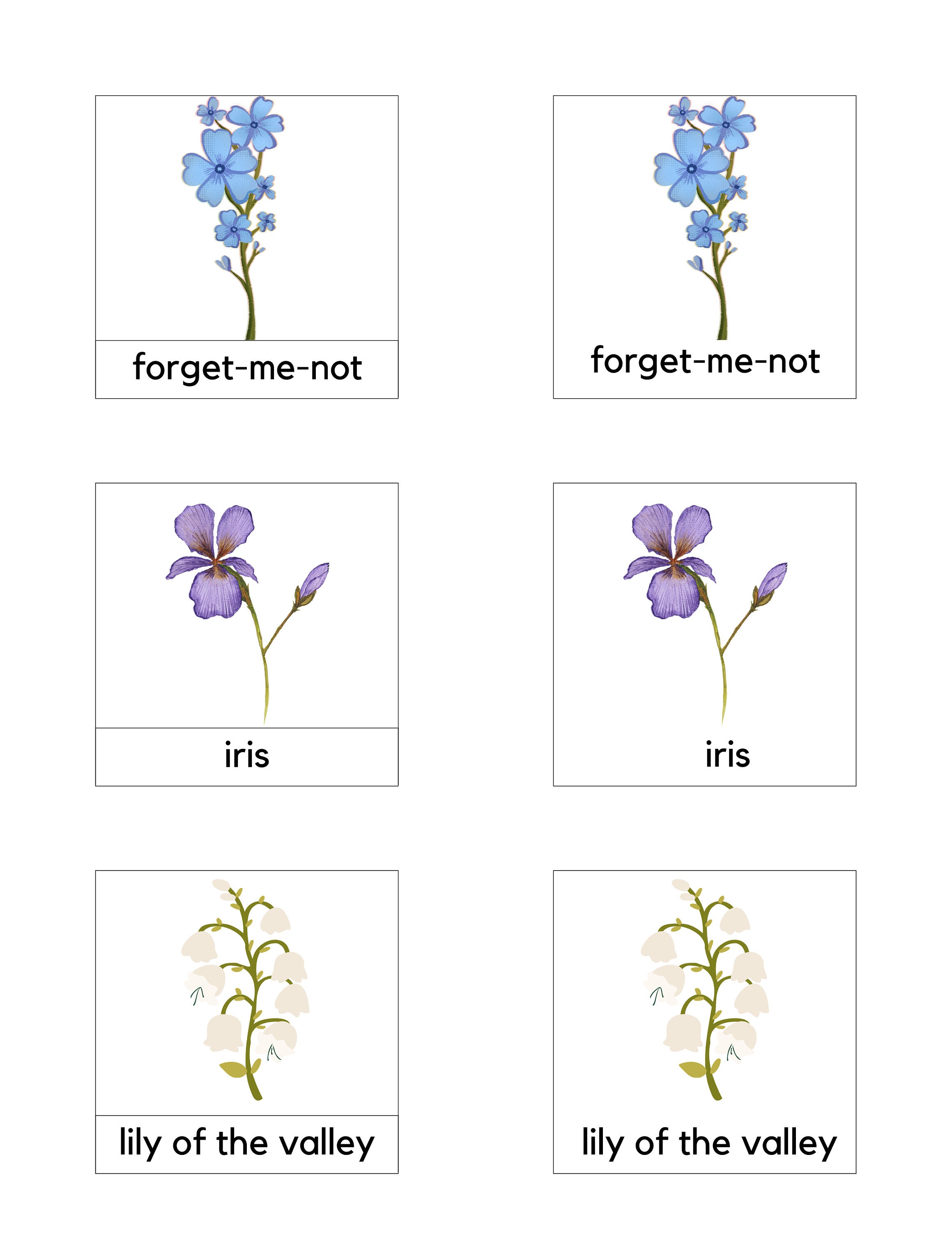 Montessori 3 Part Cards/flower Language Cards/spring Flowers/emergent ...