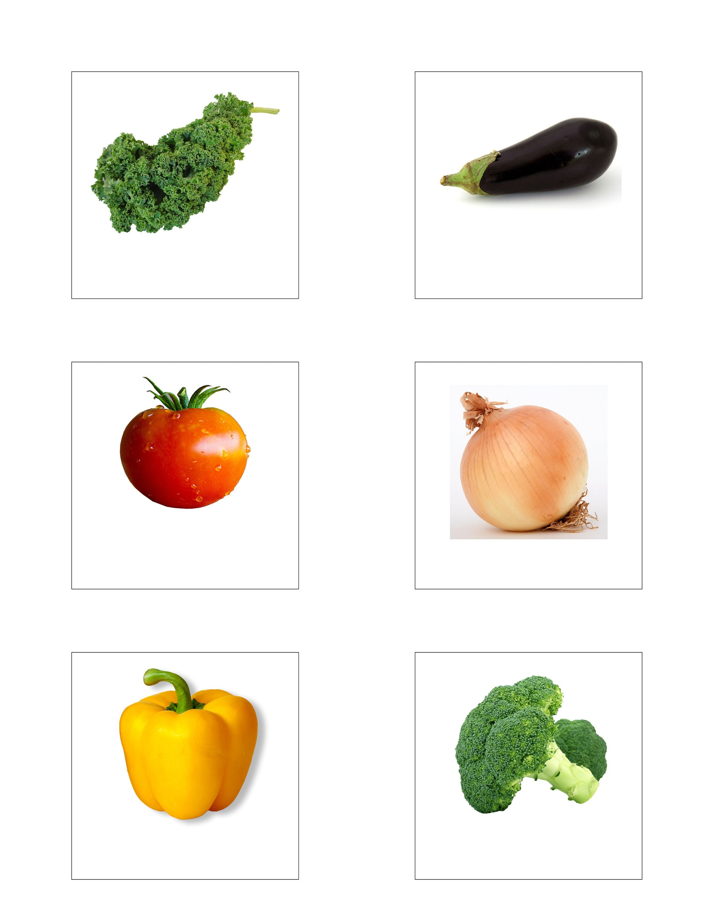 Vegetable Classified Cards/montessori Nomenclature/printable - Etsy