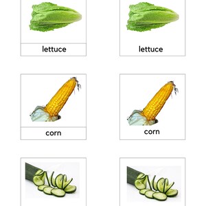 Vegetable 3 Part Cards/montessori Language Material/homeschooling ...