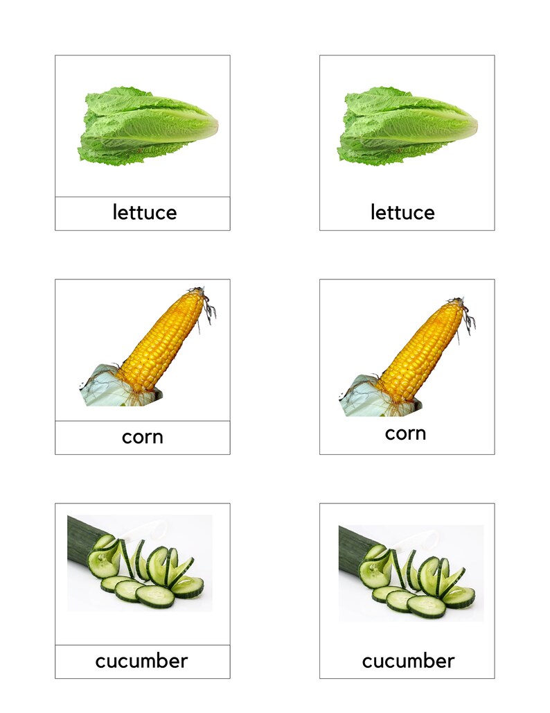 Vegetable 3 Part Cards/montessori Language Material/homeschooling ...
