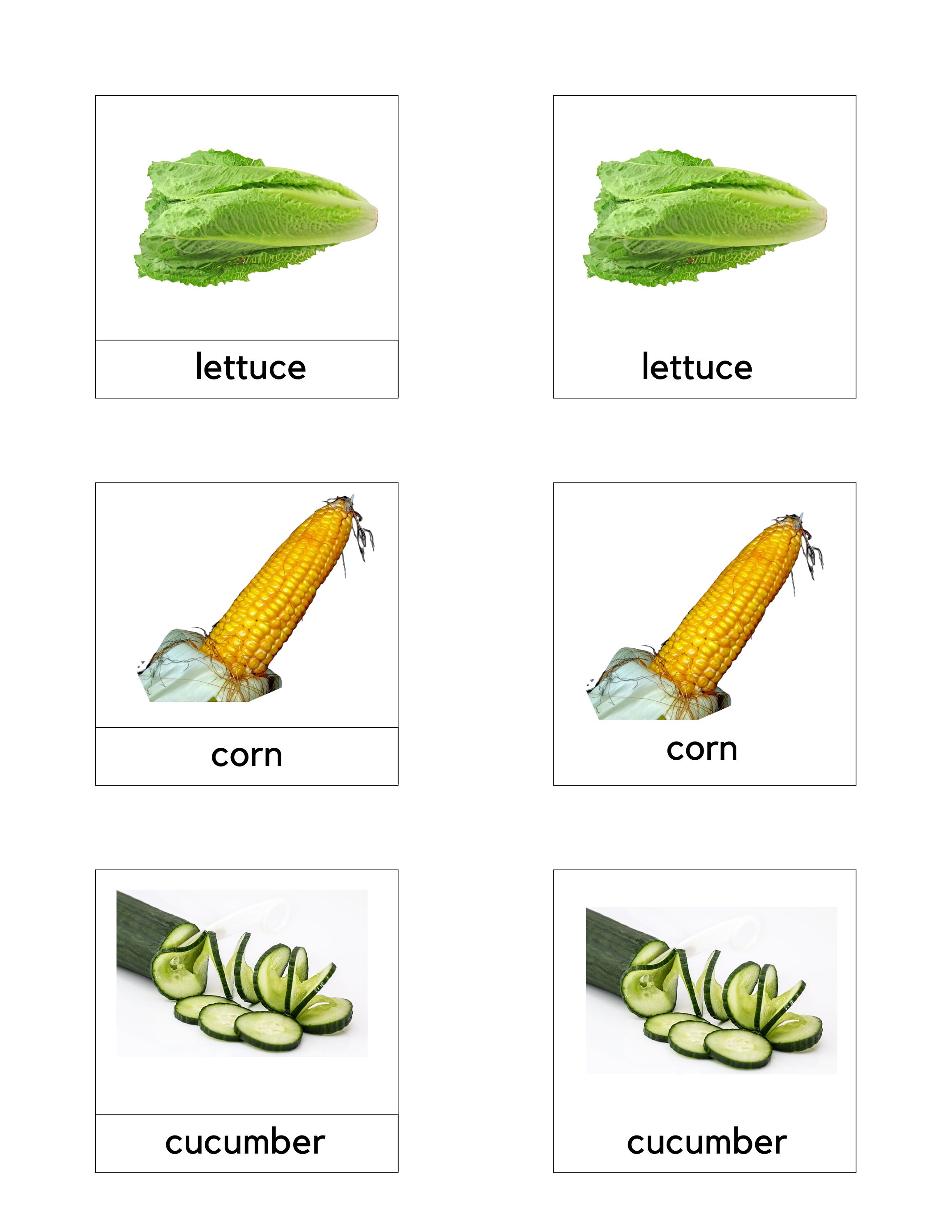 Vegetable 3 Part Cards/montessori Language Material/homeschooling ...