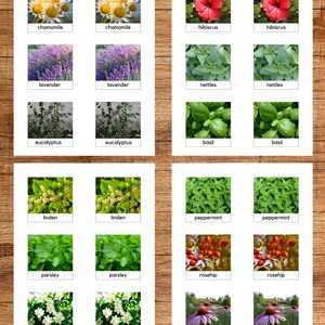 Montessori Baking/food Unit/3 Part Cards - Etsy