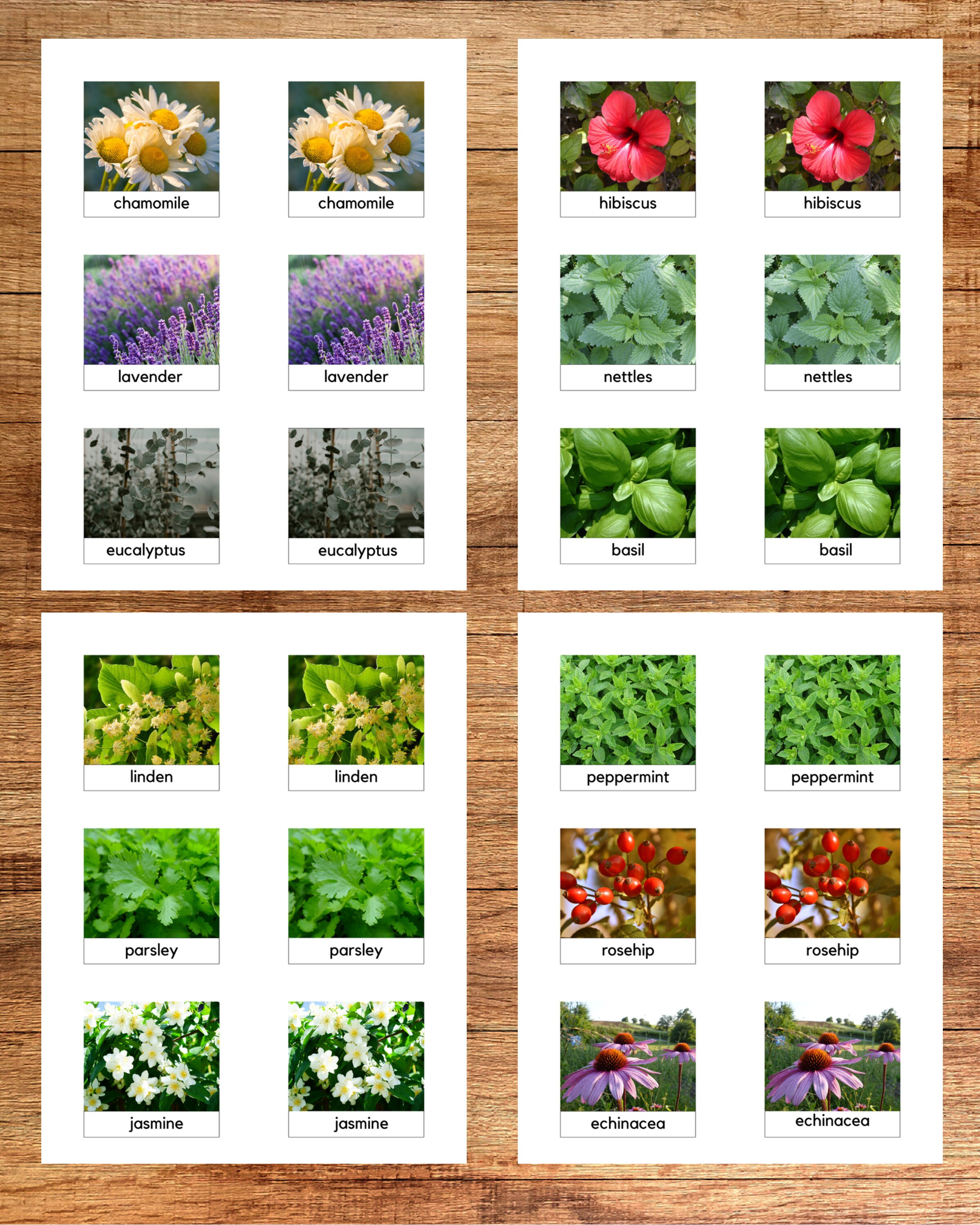 Montessori Baking/food Unit/3 Part Cards - Etsy