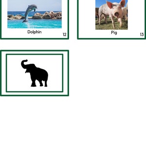 Types of Mammals/ Montessori Booklet/ Printable Montessori - Etsy