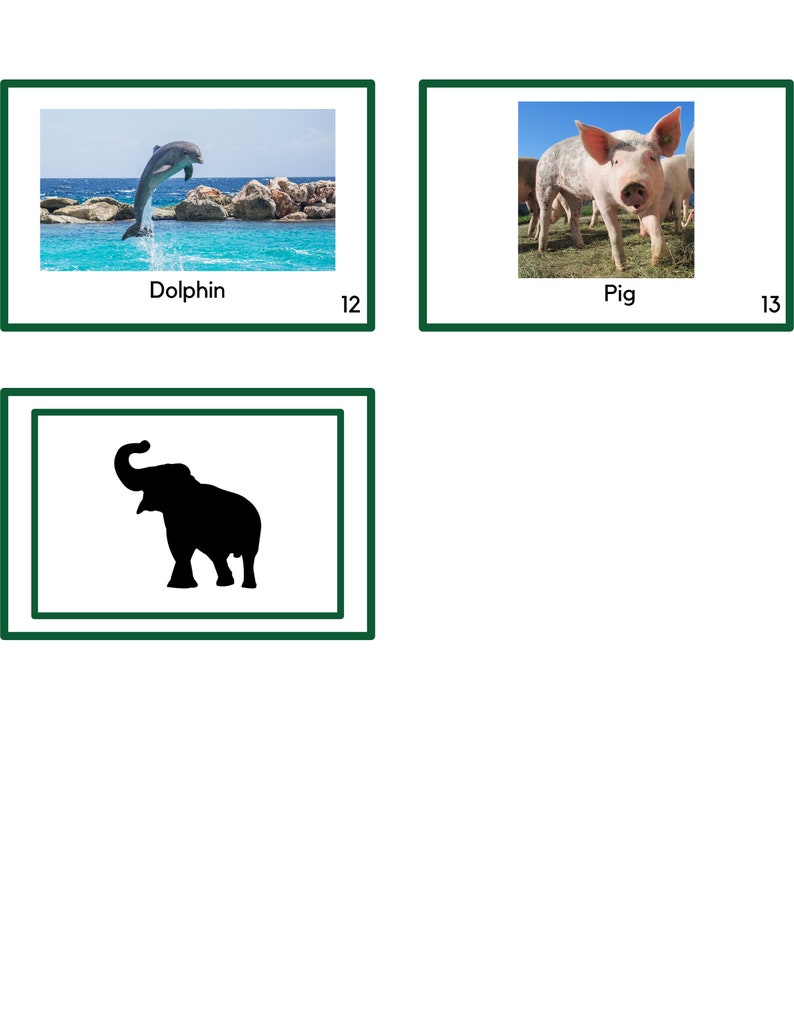 Types of Mammals/ Montessori Booklet/ Printable Montessori - Etsy