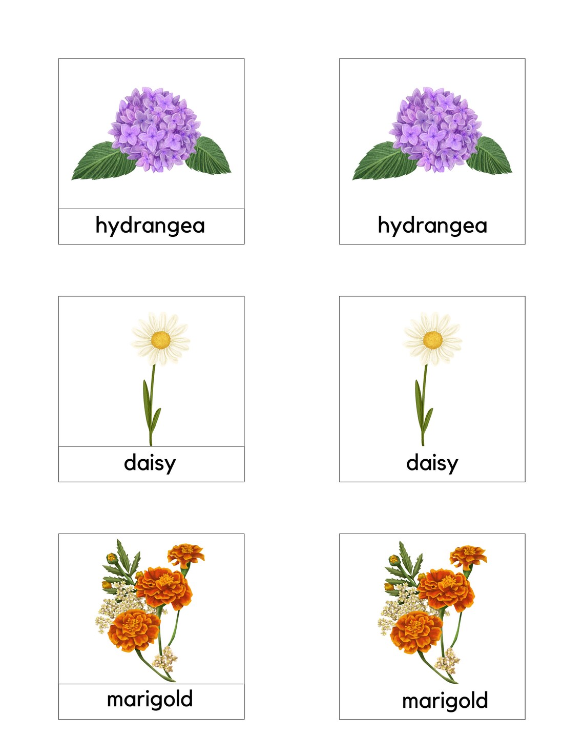 Montessori 3 Part Cards/flower Language Cards/spring Flowers/emergent ...