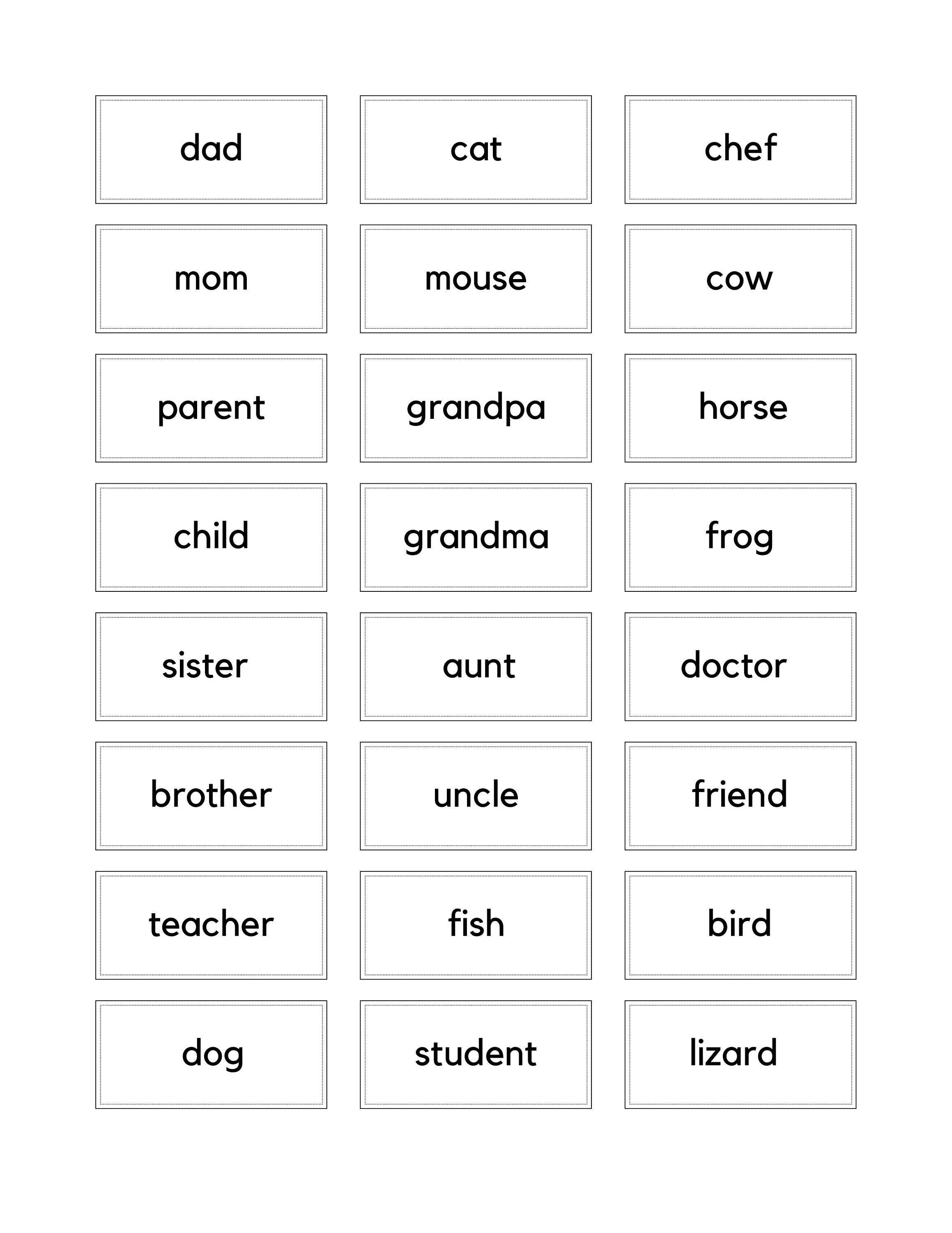 Montessori Adjective Game/printable Nouns and Adjectives - Etsy