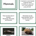 Types of Mammals/ Montessori Booklet/ Printable Montessori - Etsy