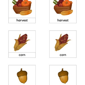 Montessori Fall 3 Part Cards/ Autumn Language Materials/ Printable - Etsy