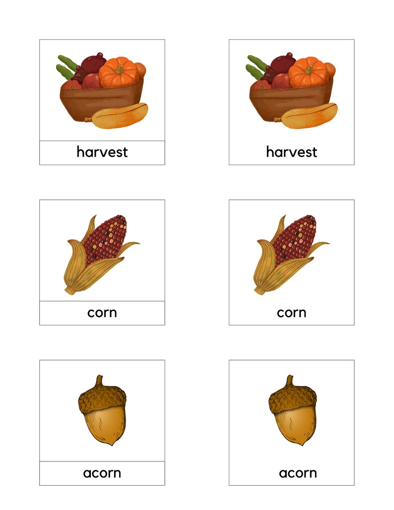 Montessori Fall 3 Part Cards/ Autumn Language Materials/ Printable - Etsy
