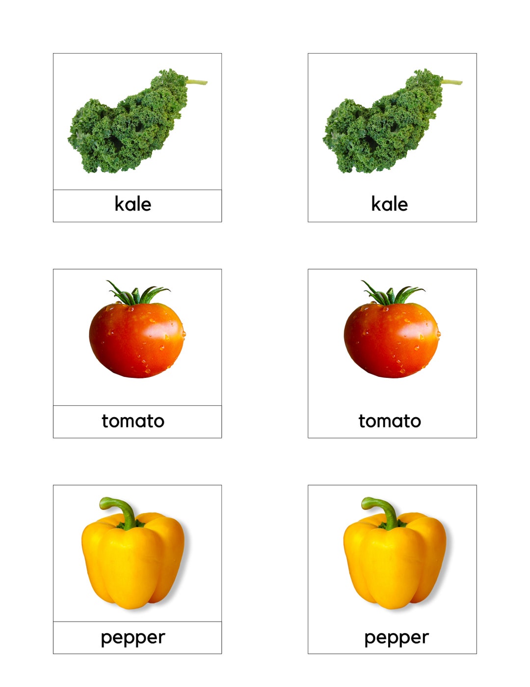 Vegetable 3 Part Cards/montessori Language Material/homeschooling ...