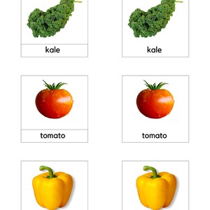 Vegetable 3 Part Cards/montessori Language Material/homeschooling ...