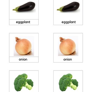 Vegetable 3 Part Cards/montessori Language Material/homeschooling ...