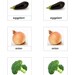 Vegetable 3 Part Cards/montessori Language Material/homeschooling ...