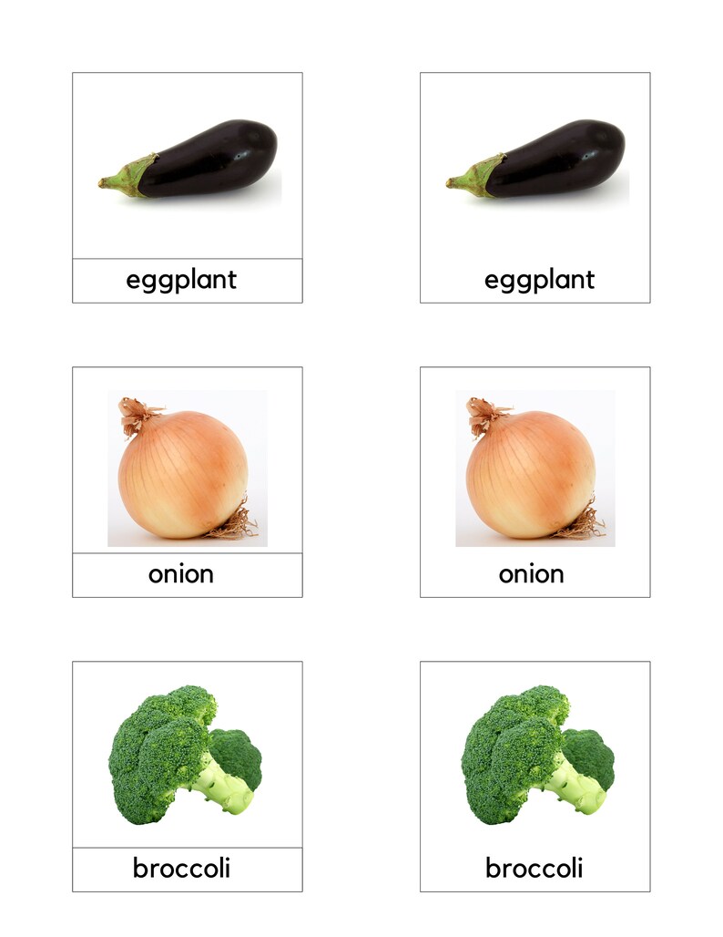 Vegetable 3 Part Cards/montessori Language Material/homeschooling ...