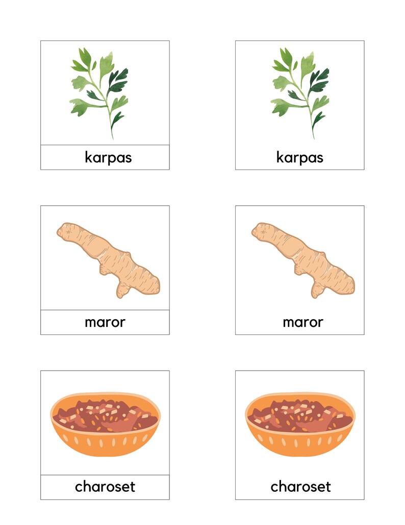 Passover 3 Part Cards/montessori Printable/seder Printable - Etsy