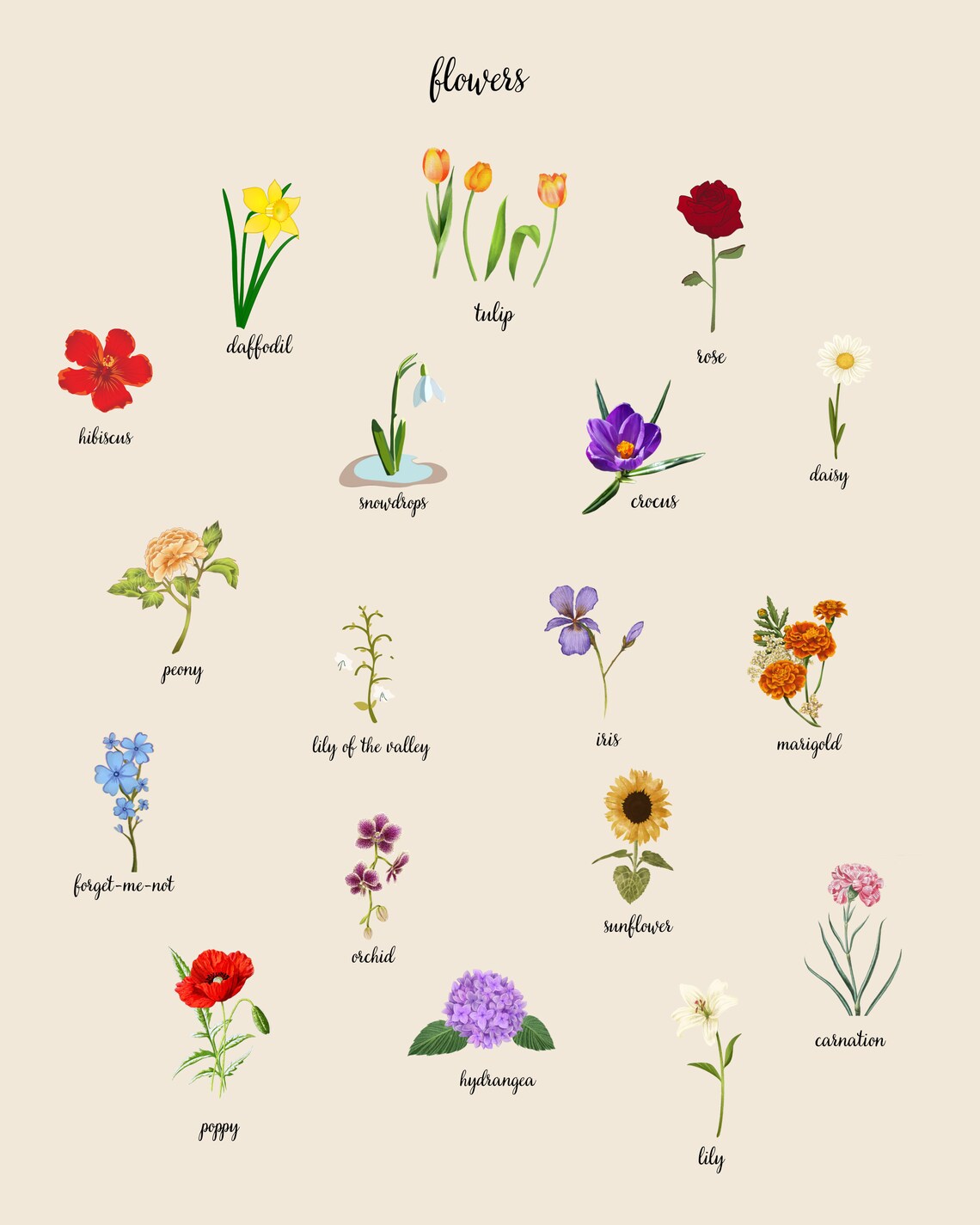 Flower Art/printable Classroom Poster/montessori Wall Art - Etsy