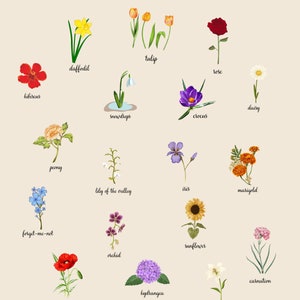 Flower Art/printable Classroom Poster/montessori Wall Art - Etsy