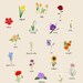 Flower Art/printable Classroom Poster/montessori Wall Art - Etsy