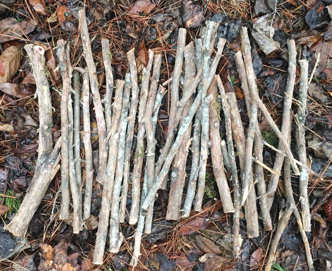 Eastern Red Cedar 20-25 Pc Stick / Twig Bundle, Locally and Sustainably ...