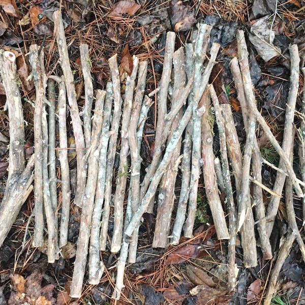 Twig Bundle - Etsy