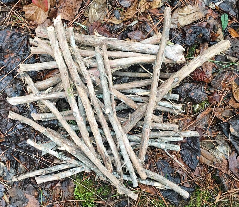 Eastern Red Cedar 20-25 Pc Stick / Twig Bundle, Locally and Sustainably ...