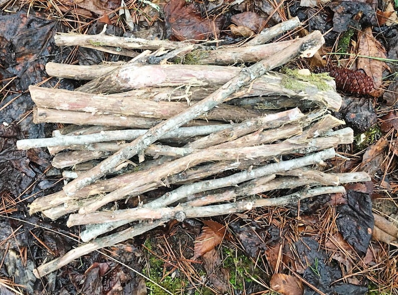 Eastern Red Cedar 20-25 Pc Stick / Twig Bundle, Locally and Sustainably ...