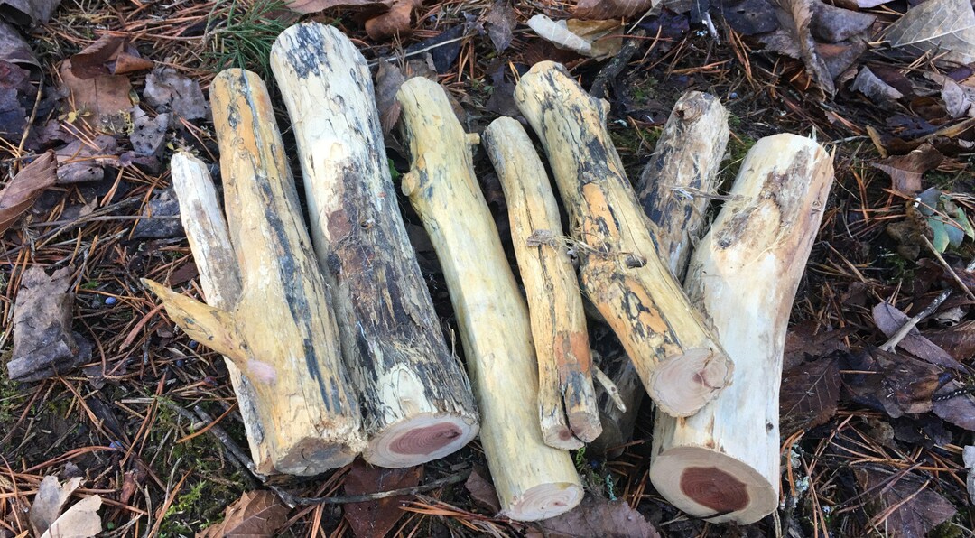 Red Cedar Stick Bundle: Raw Wood Craft Supply, Aromatic, 8-9 Inch - Etsy
