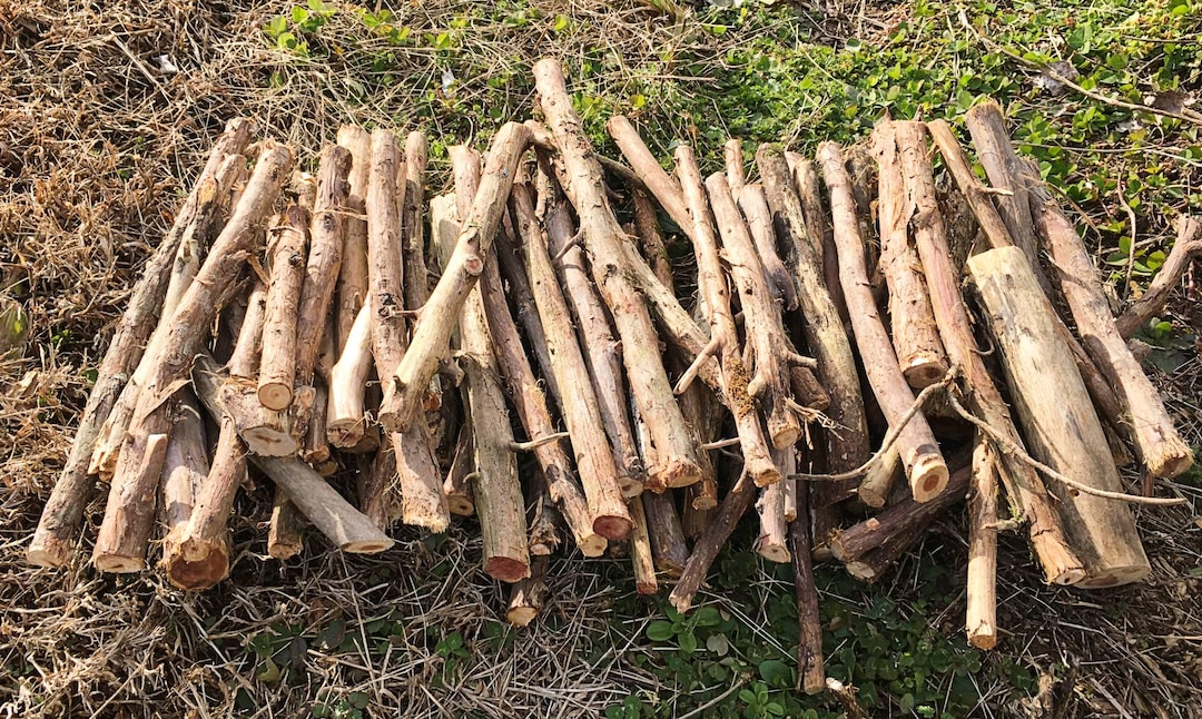 50+ Pcs Eastern Red Cedar Sticks, Raw Twig Bundle, Craft Wood Supply (6 ...
