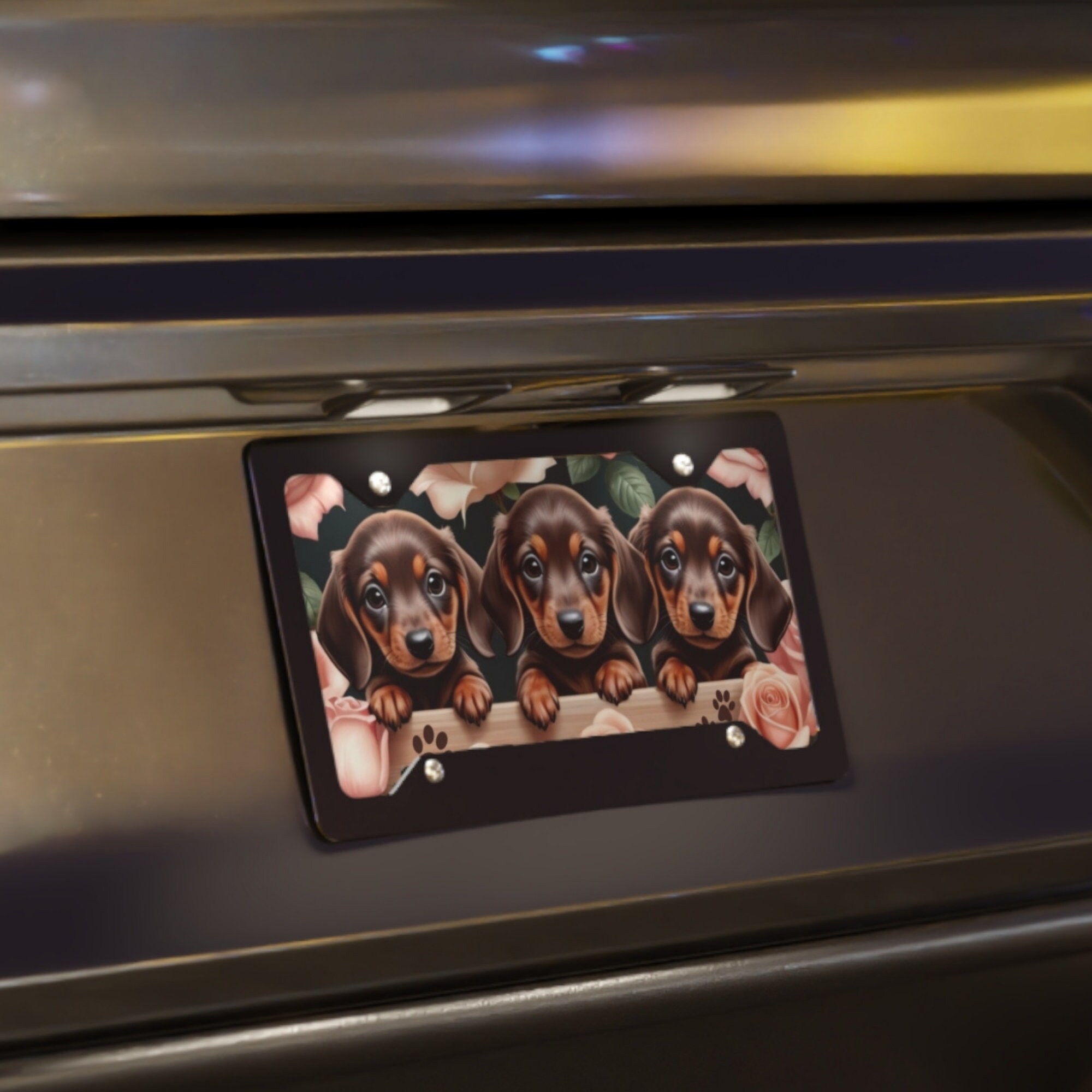 Dachshund Puppies License Plate Sublimation Design-digital Download ...