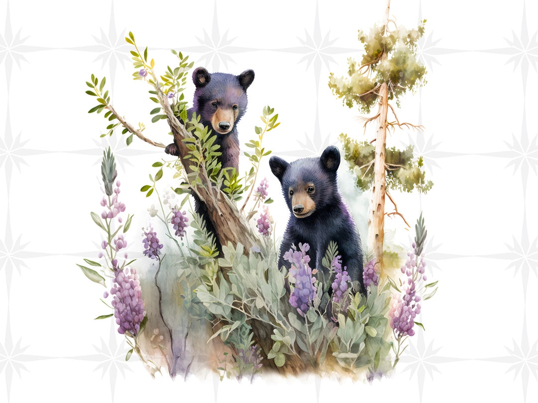Black Bear Cub Clipart Cute Bear PNG Baby Black Bear Nursery - Etsy UK