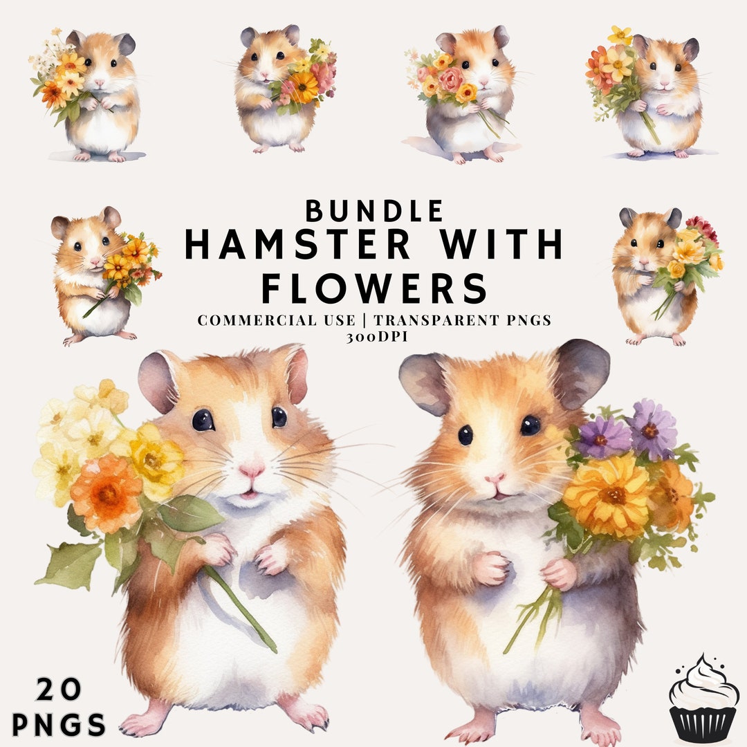 Watercolor Hamster Clipart Bundle | Cute Floral PNG (digital Download ...