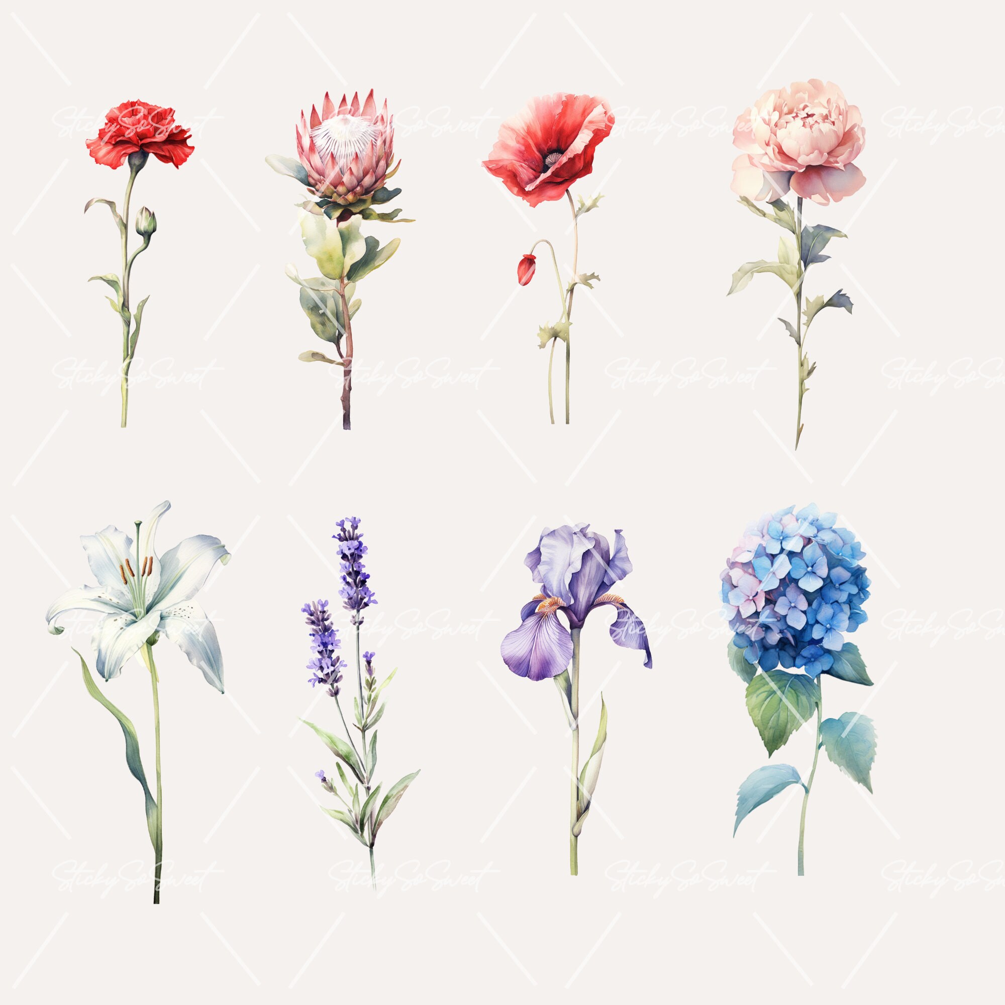 Watercolor Flowers Bundle Clipart | PNG | Commercial Use | Instant ...
