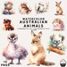 Watercolor Cute Australian Animals Bundle Clipart | PNG | Commercial ...