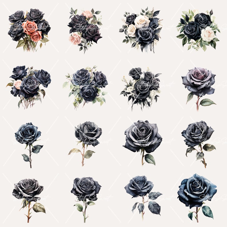 Watercolor Black Rose Bundle Clipart | PNG | Commercial Use | Instant ...