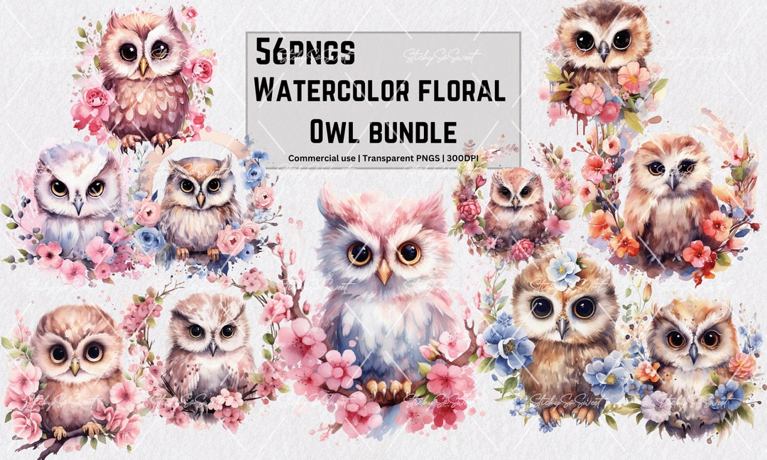 Watercolor Floral Owl Bundle Clipart PNG Commercial Use - Etsy