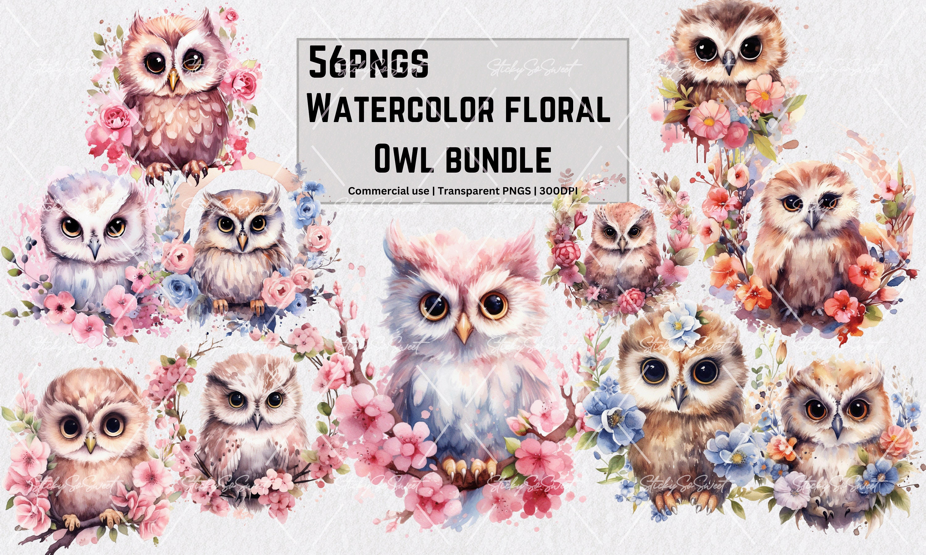 Watercolor Floral Owl Bundle Clipart PNG Commercial Use - Etsy
